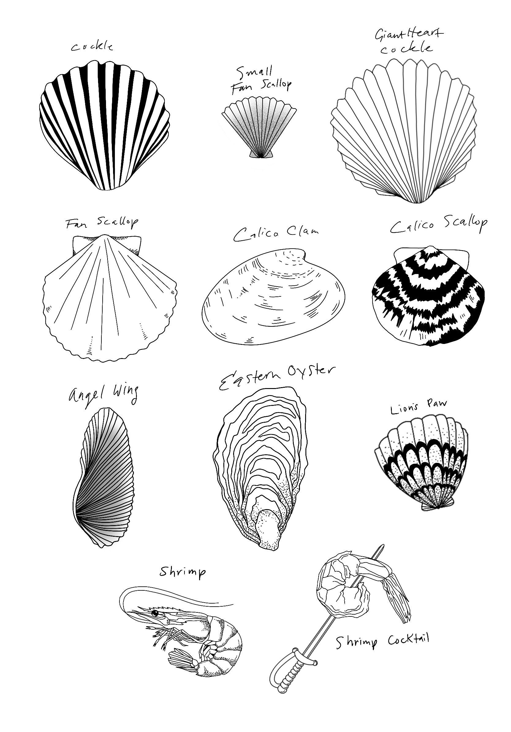 Florida Doodle - Etsy