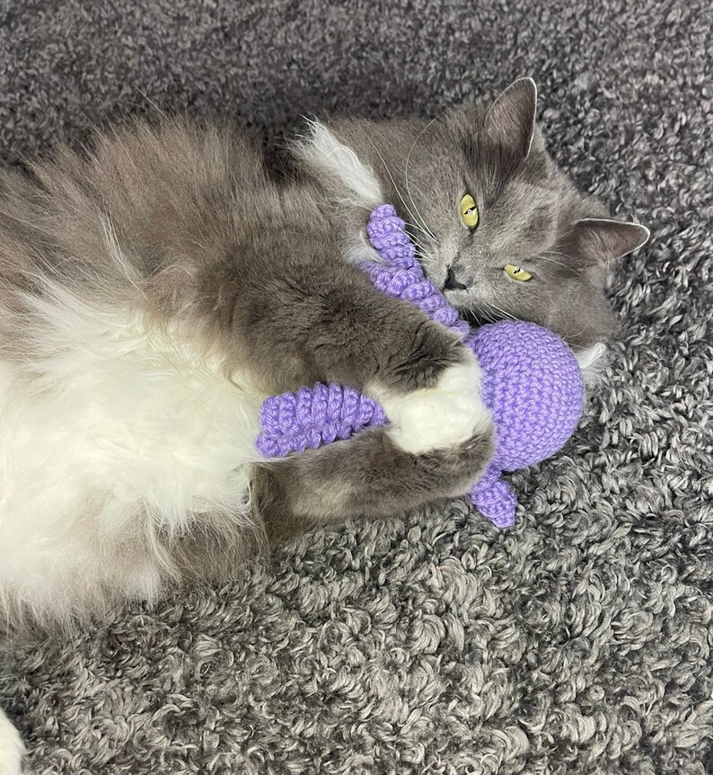 Crochet Octopus Carrot and Pumpkin With Catnip Kitty Kicker - Etsy