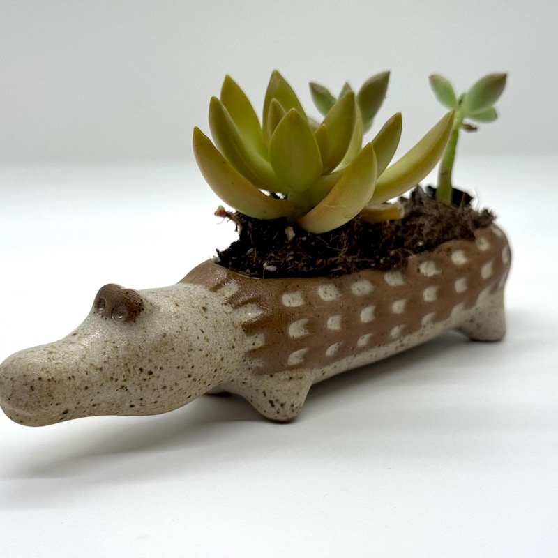 Alligator Planter - Etsy