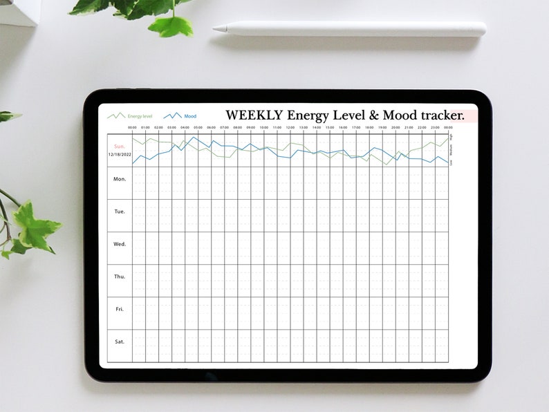 Energy Level and Mood Tracker Weekly Daily Hourly | Physical State ...