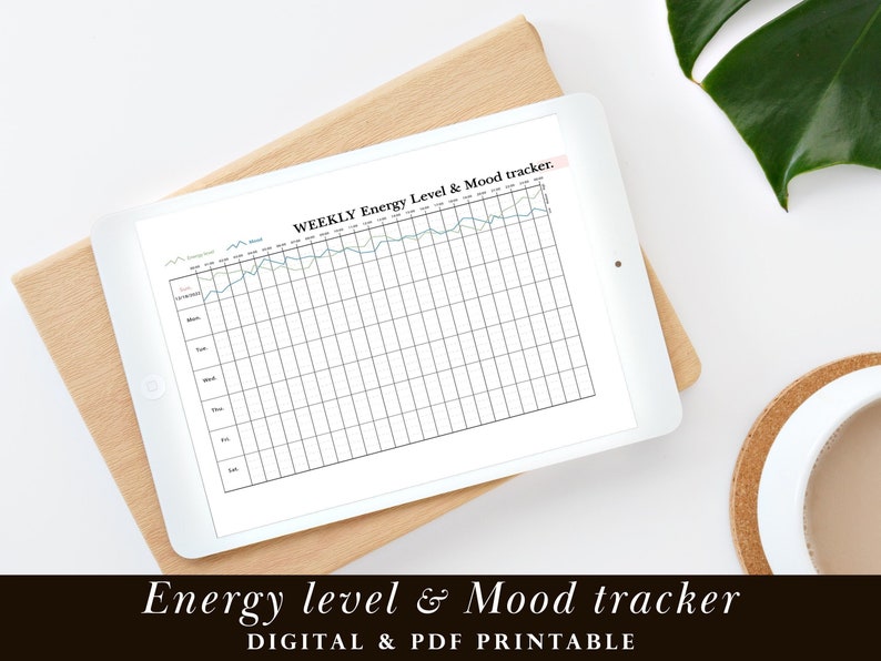 Energy Level and Mood Tracker Weekly Daily Hourly | Physical State ...