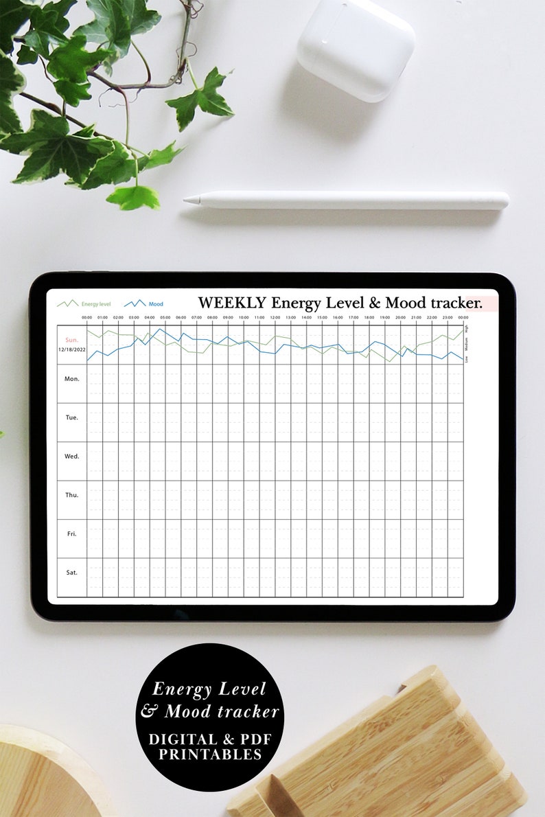 Energy Level and Mood Tracker Weekly Daily Hourly Physical State Mental ...