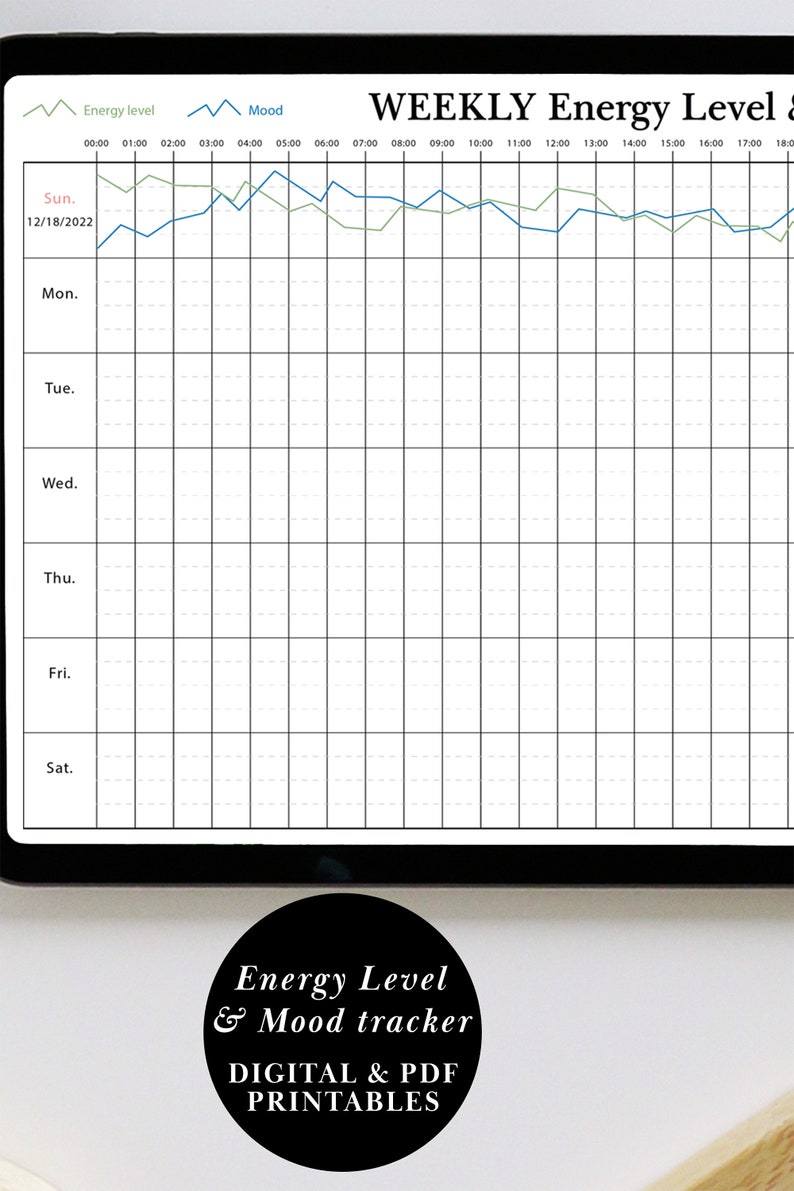 Energy Level and Mood Tracker Weekly Daily Hourly Physical State Mental ...