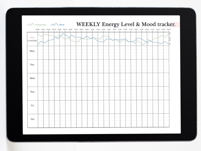 Energy Level and Mood Tracker Weekly Daily Hourly Physical - Etsy