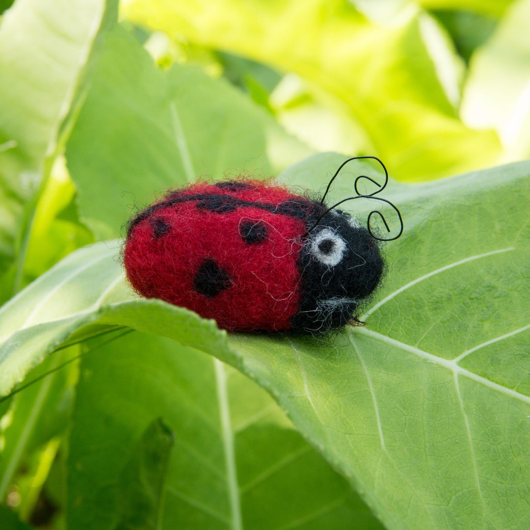 Felting Kit Lady Bug Needle Felting Kit DIY Kit Felting Supplies DIY ...