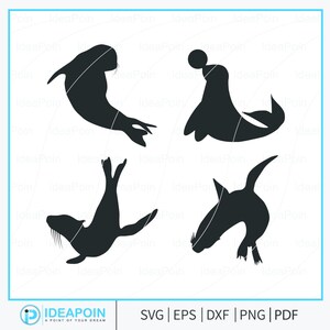 Seal Svg, Seal Silhouette, Seal Png, Seal Digital Download, Seal Bundle ...