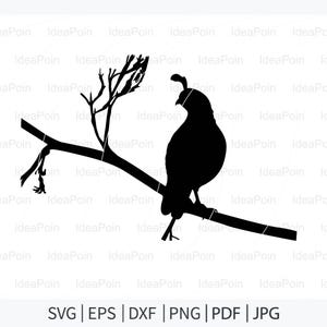 Quail Svg, Quail Bird SVG Files Bundle, Quail Silhouette, Quail Bird ...