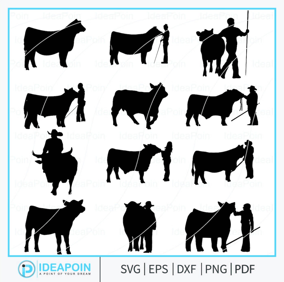 Show Steer Svg, Clipart Livestock Svg, Show Steer Bundle, Beef Cow PNG ...