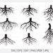 Roots SVG Bundle, Tree Roots Svg, Roots Svg, Tree Roots Vector, Roots ...