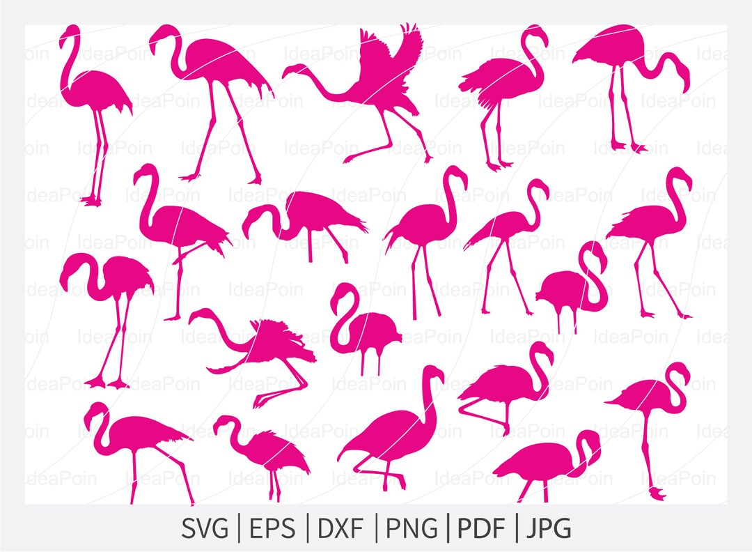 Flamingo Svg, Flamingo Svg Bundle, Pink Flamingo Svg, Flamingo ...