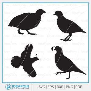 Quail Svg, Quail Bird SVG Files Bundle, Quail Silhouette, Quail Bird ...
