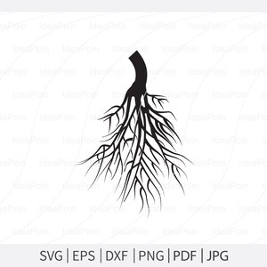 Roots SVG Bundle, Tree Roots Svg, Roots Svg, Tree Roots Vector, Roots ...
