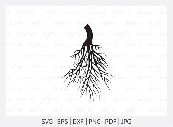 Tree Roots Vector Png