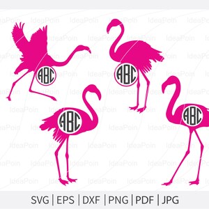 Pink Flamingo Cut File, Flamingo Monogram Frame, Flamingo Svg, Flamingo Svg Bundle, Flamingo ...