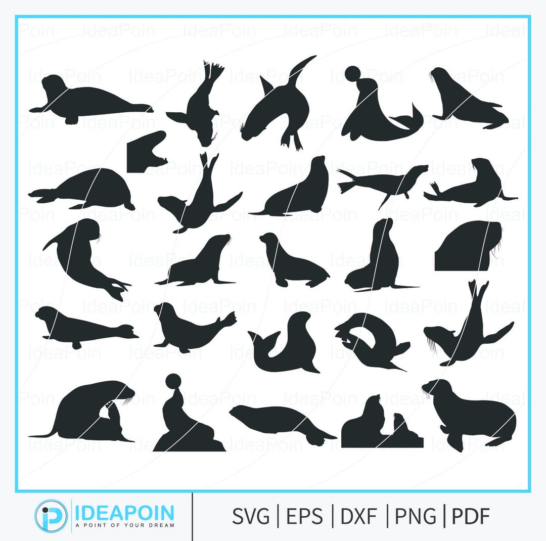 Seal Svg, Seal Silhouette, Seal Png, Seal Digital Download, Seal Bundle ...