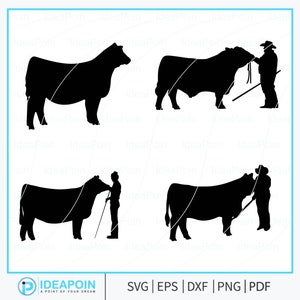 Show Steer Svg, Clipart Livestock Svg, Show Steer Bundle, Beef Cow PNG ...
