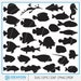 Fishs Svg, Tropical Fish Set, Fish Species Png, Aquarium Fish, Cartoon ...