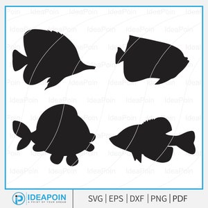 Fishs Svg, Tropical Fish Set, Fish Species Png, Aquarium Fish, Cartoon ...