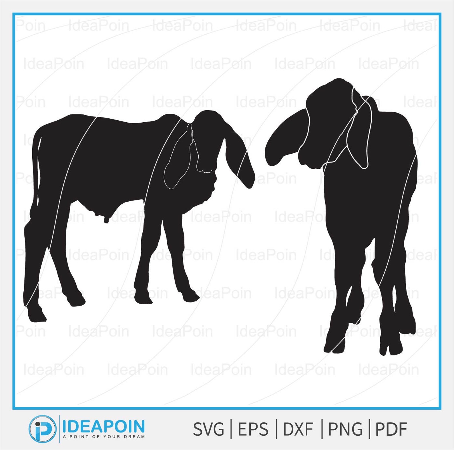Brahman Calf Svg, Brahman Cow Svg, Brahman Calves Svg, Livestock Svg ...