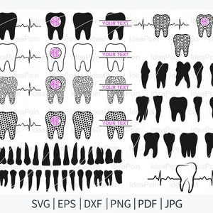 Tooth Svg, Dental Svg, Tooth Monogram Svg Bundle, Tooth Heartbeat ...