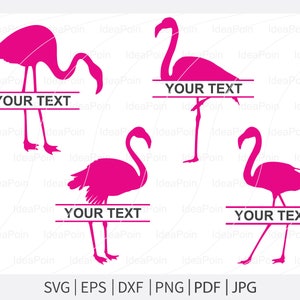 Pink Flamingo Cut File, Flamingo Monogram Frame, Flamingo Svg, Flamingo Svg Bundle, Flamingo ...