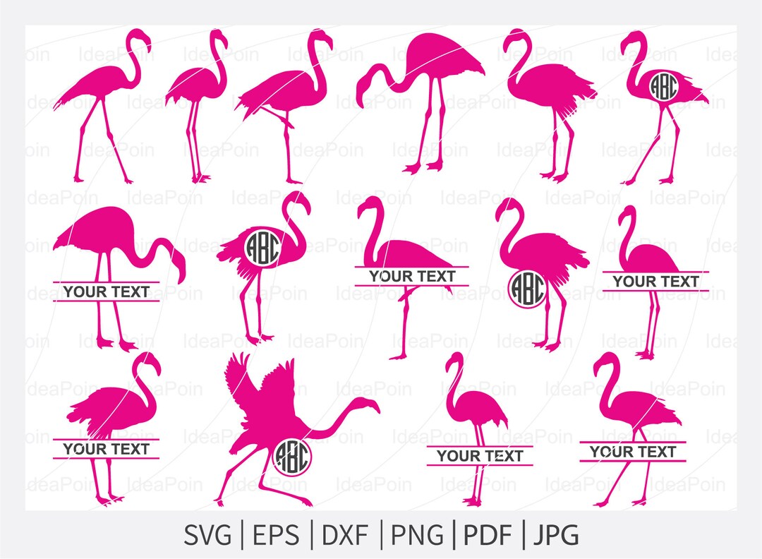 Pink Flamingo Cut File, Flamingo Monogram Frame, Flamingo Svg, Flamingo ...