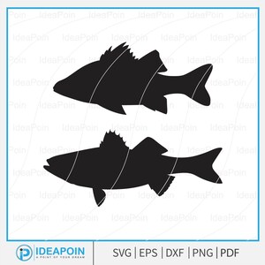 Fishs Svg, Tropical Fish Set, Fish Species Png, Aquarium Fish, Cartoon ...