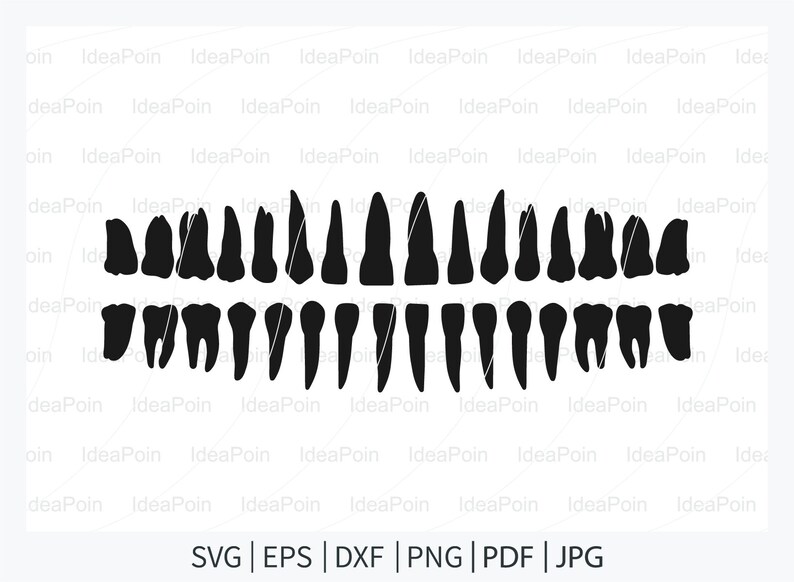 Tooth Svg Dental Svg Tooth Monogram Svg Bundle Tooth - Etsy
