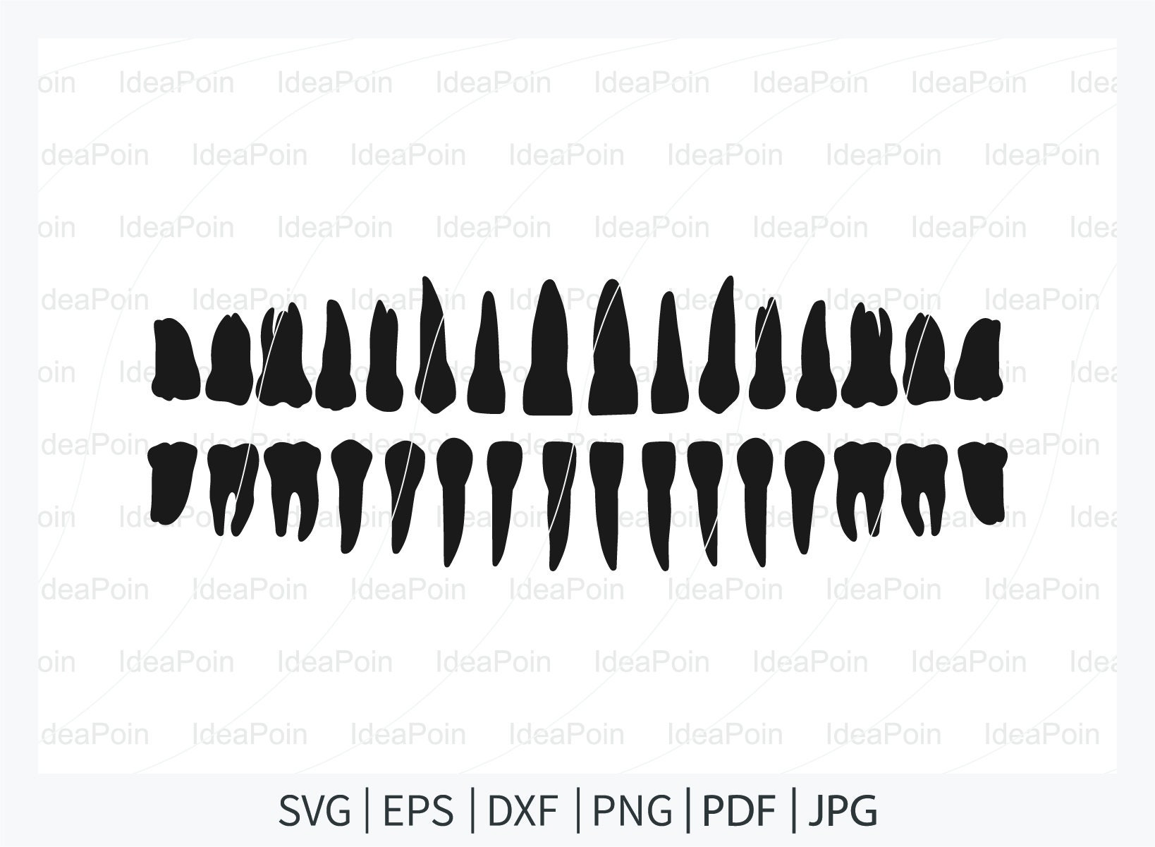 Tooth Svg Dental Svg Tooth Monogram Svg Bundle Tooth - Etsy UK