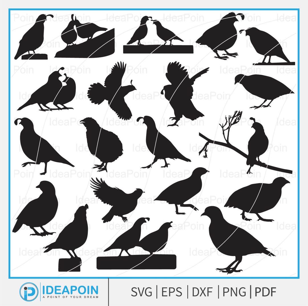 Quail Svg, Quail Bird SVG Files Bundle, Quail Silhouette, Quail Bird ...