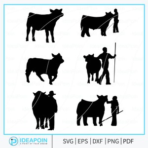 Show Steer Svg, Clipart Livestock Svg, Show Steer Bundle, Beef Cow PNG ...