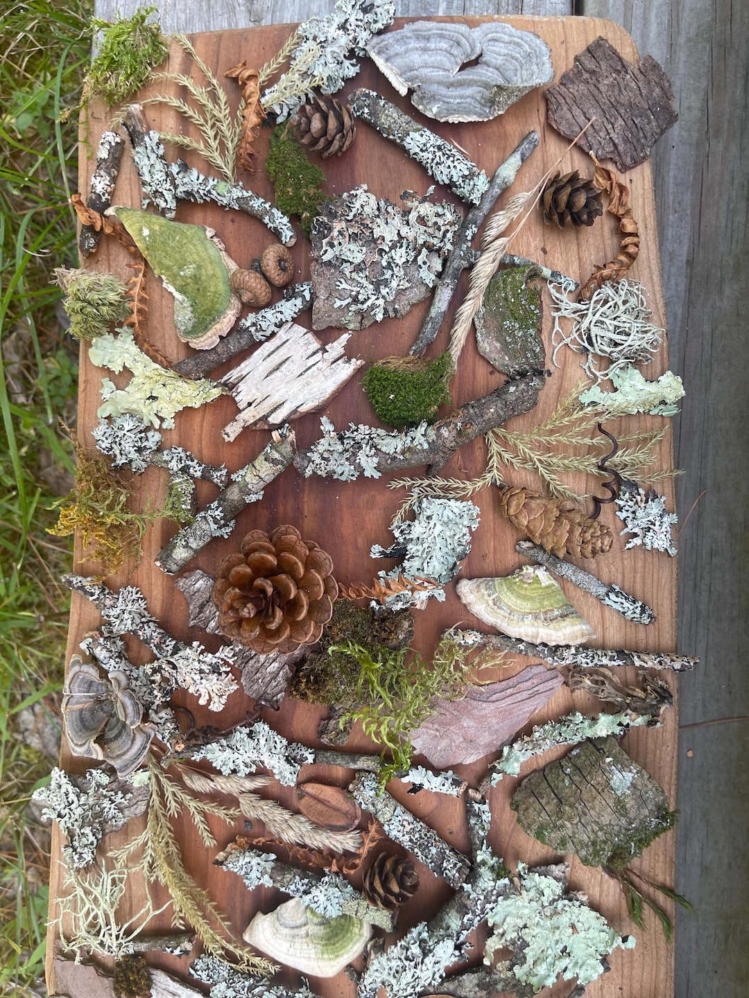 Forest Items, Woodland Decor - Etsy