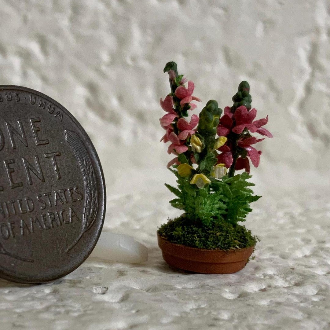 1:24 Scale Snapdragons, Mixed Pink, Mauve, and Yellow, in Shallow Aged ...