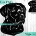Black Labrador Retriever SVG & PNG, Chocolate Lab Svg, Digital Download ...