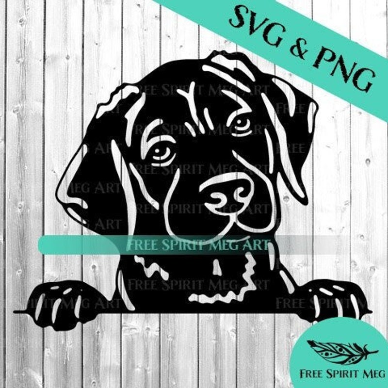 Peeking Lab Svg - Etsy