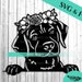 Floral Black Lab SVG: Labrador Retriever Cut File (digital Download) - Etsy