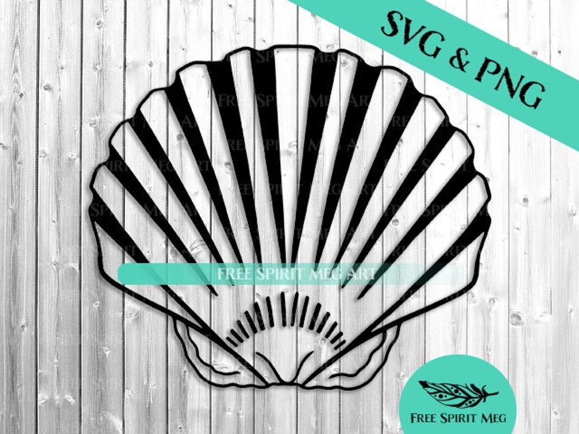 Seashell SVG & PNG Beach Svg Digital Download Summer Svg - Etsy