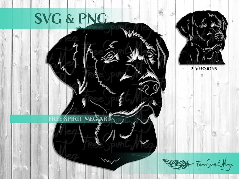 Black Labrador Retriever SVG & PNG, Chocolate Lab Svg, Digital Download ...