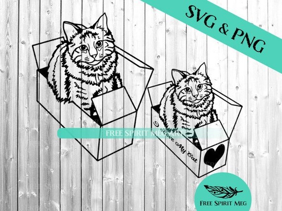 Cat in a Box SVG & PNG 4 Files Instant Download for Cricut | Etsy