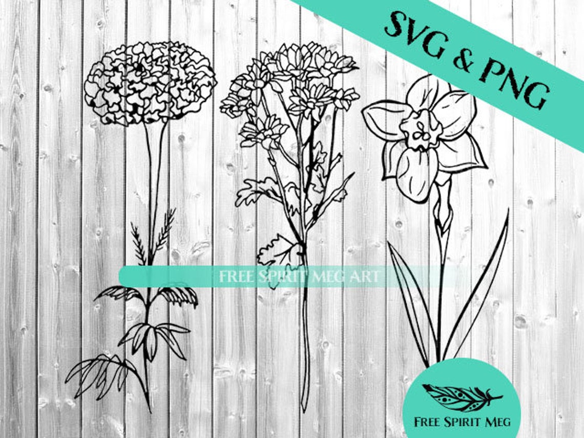 Birth Month Flowers SVG & PNG Bundle 24 Files Instant - Etsy