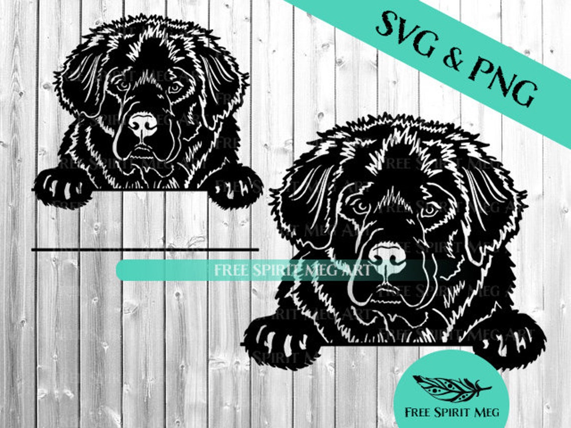 Newfoundland Dog SVG Bundle Plus PNG File Digital Download - Etsy