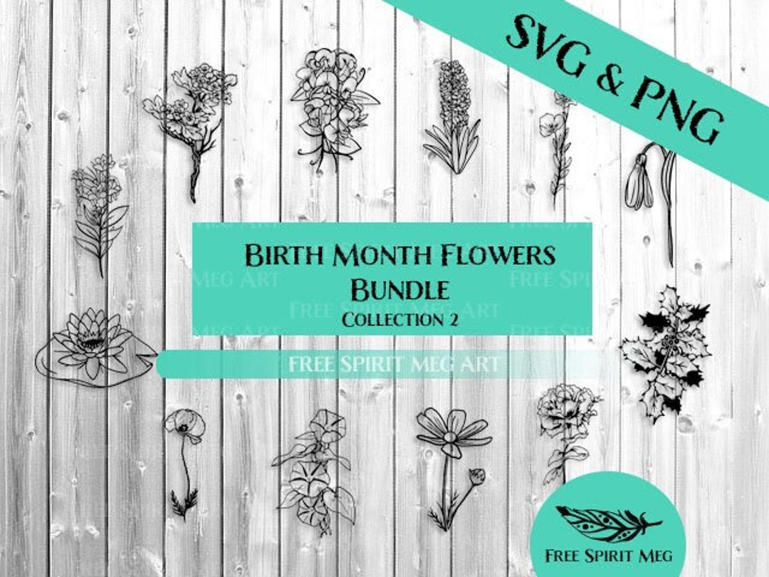 Birth Month Flowers SVG & PNG Bundle, 24 Files, Digital Download, Flora ...