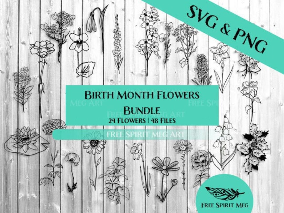Birth Month Flowers SVG & PNG Bundle, 48 Files, Digital Download, Flora ...