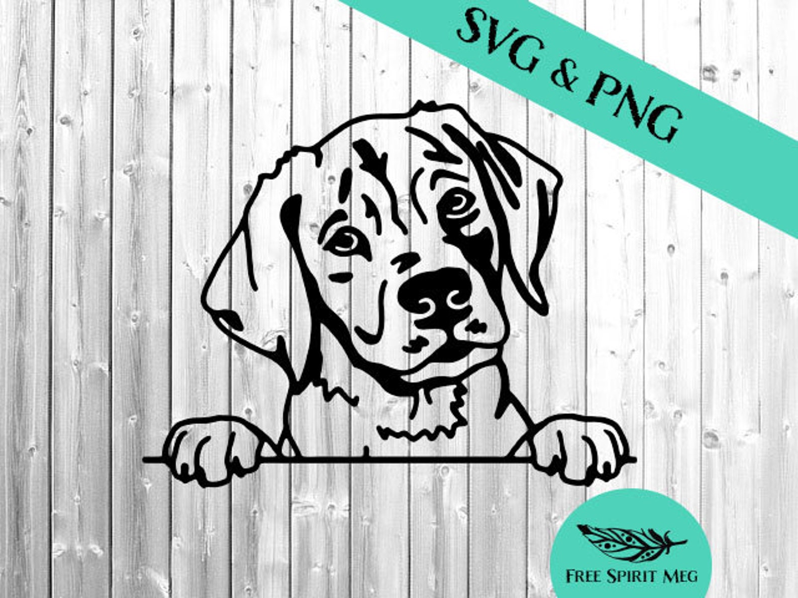 Labrador Retriever Puppy SVG & PNG Bundle 10 Files Instant - Etsy
