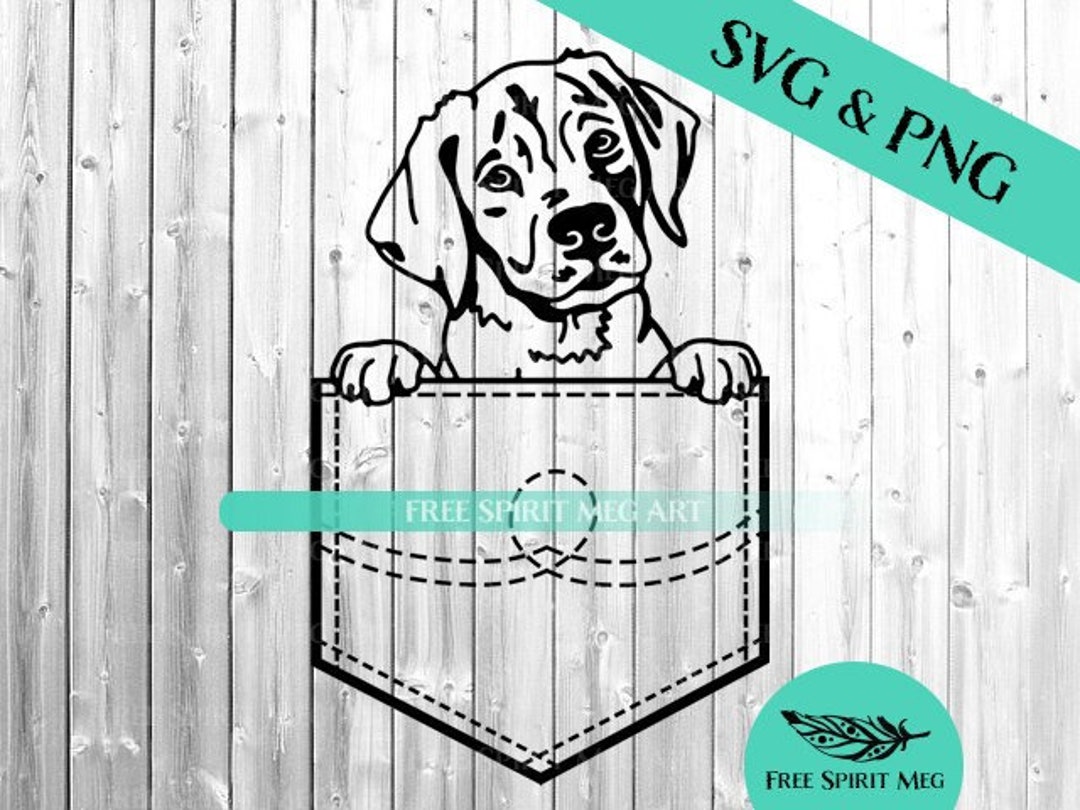 Lab Puppy SVG & PNG, 2 Files, Instant Download, Puppy in My Pocket - Etsy