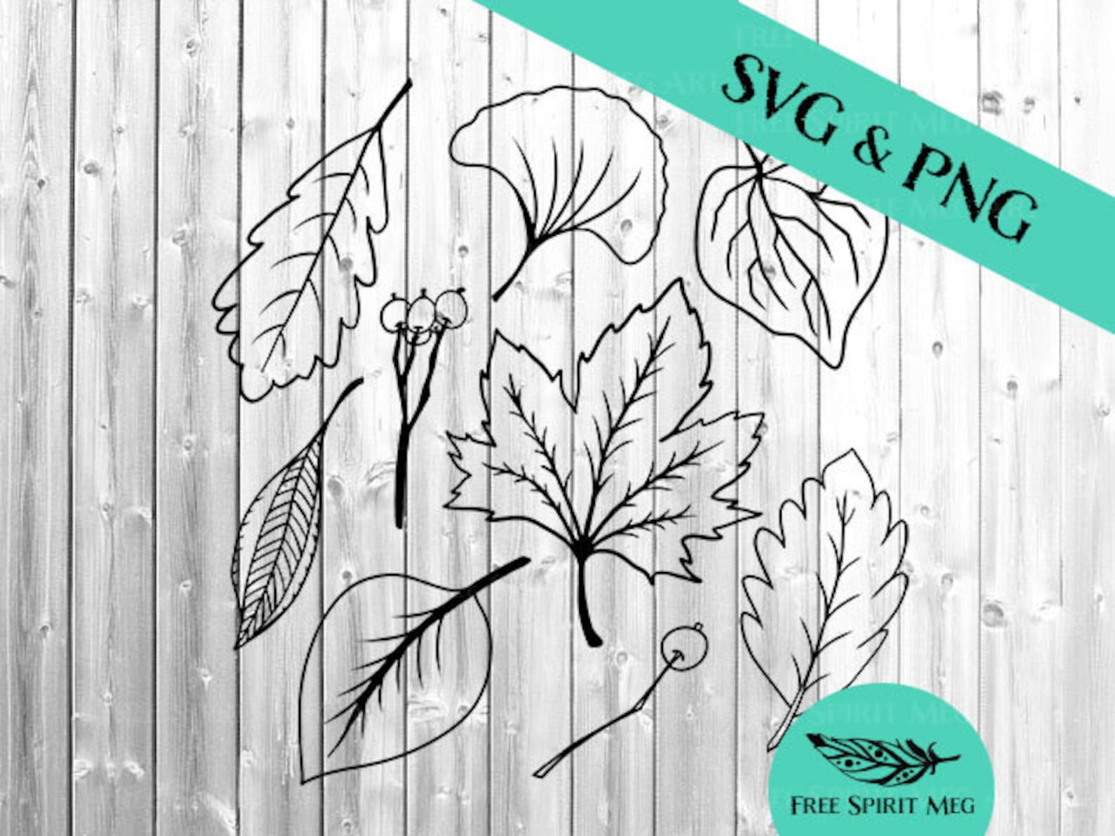 Fall Leaf SVG Bundle Digital Download Leaf Silhouette Leaf - Etsy