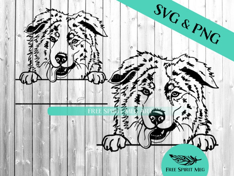 Australian Shepherd SVG Bundle Digital Download Plus PNG - Etsy