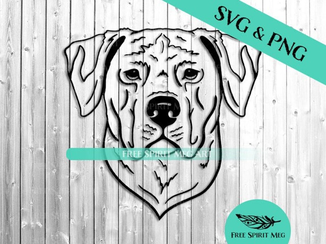 Labrador Retriever SVG & PNG 2 Files Dog Head Portrait - Etsy