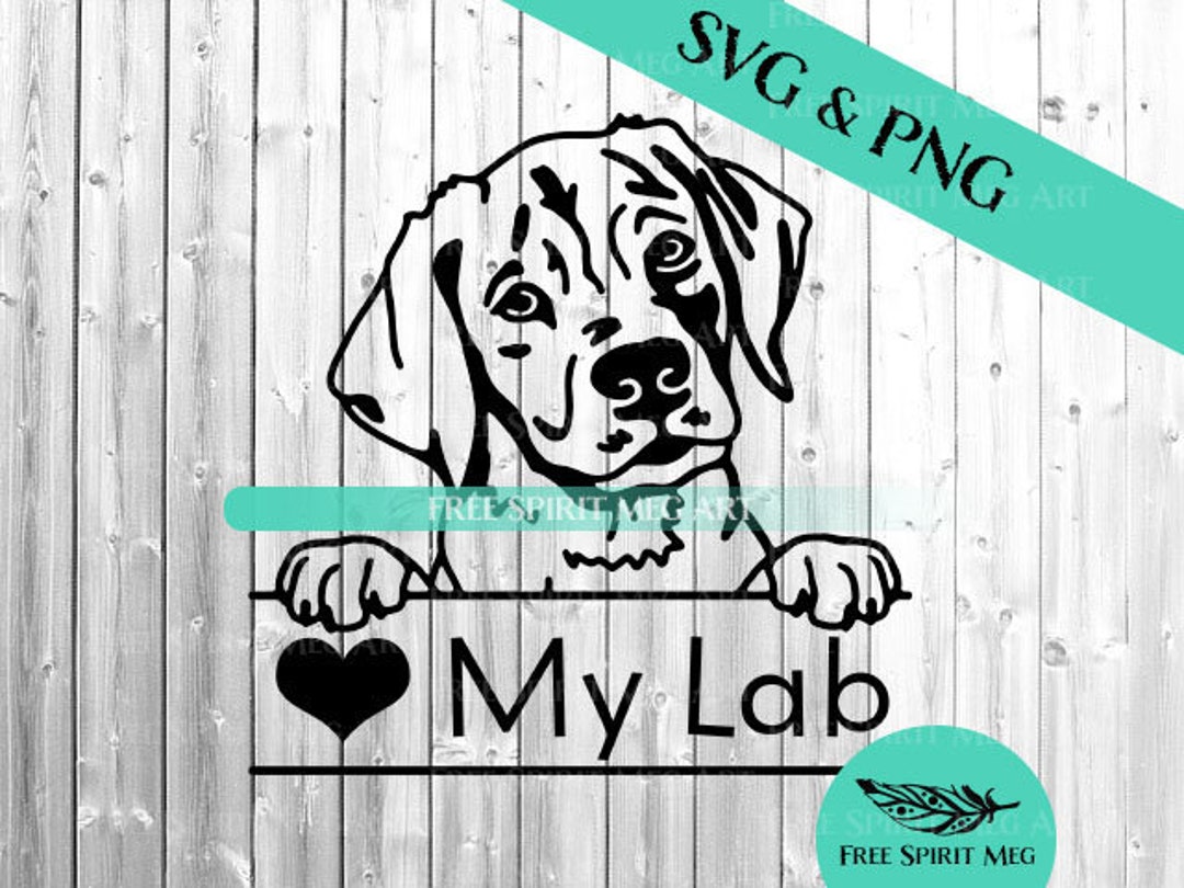 Heart My Lab SVG & PNG, Labrador Retriever Puppy - Etsy