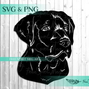 Black Labrador Retriever SVG & PNG, Chocolate Lab Svg, Digital Download ...